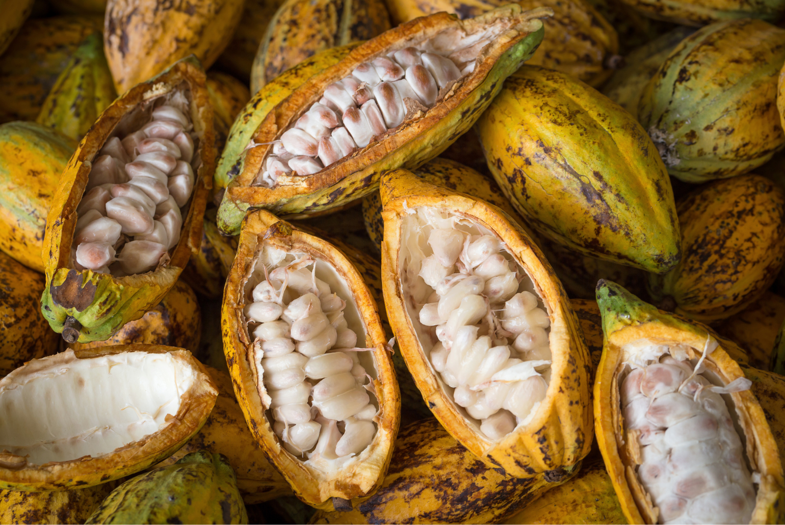 Indulge and Slim Down: Exploring the Weight Loss Benefits of Raw Choco ...